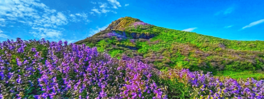 Kalu Waterfall - God Valley Trek - Old Malshej Ghat Route