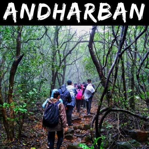 Andharban Jungle Trek | Mischief Treks