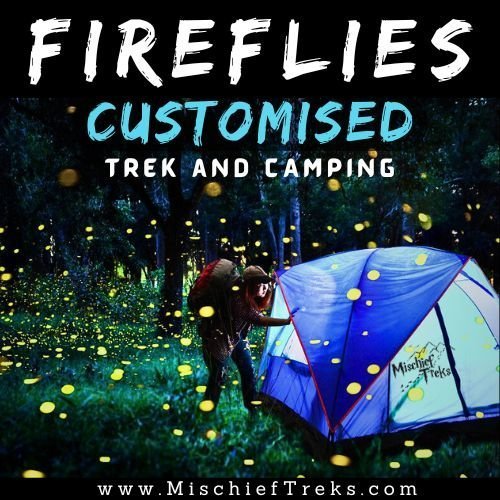 Fireflies Festival – Weekday Private Booking