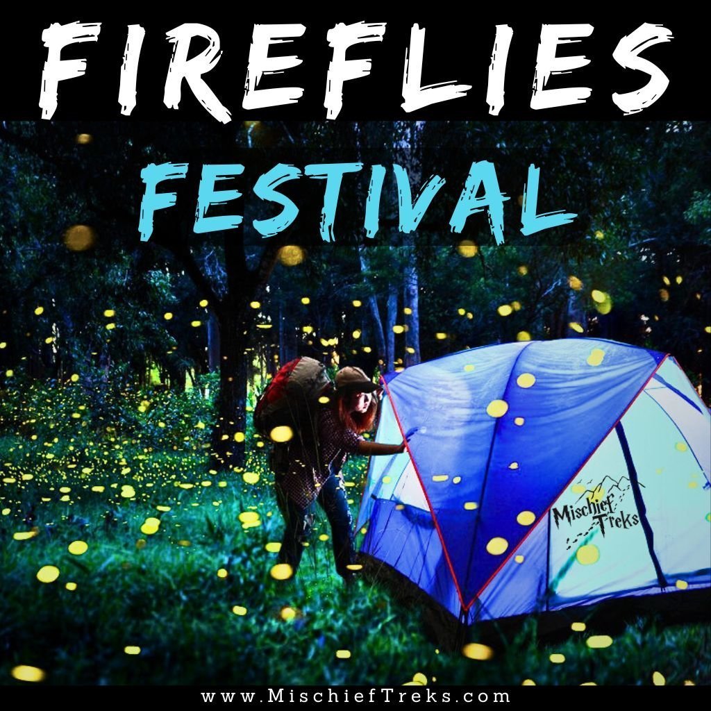 Fireflies Festival Camping and Trek | 2025 Special Event
